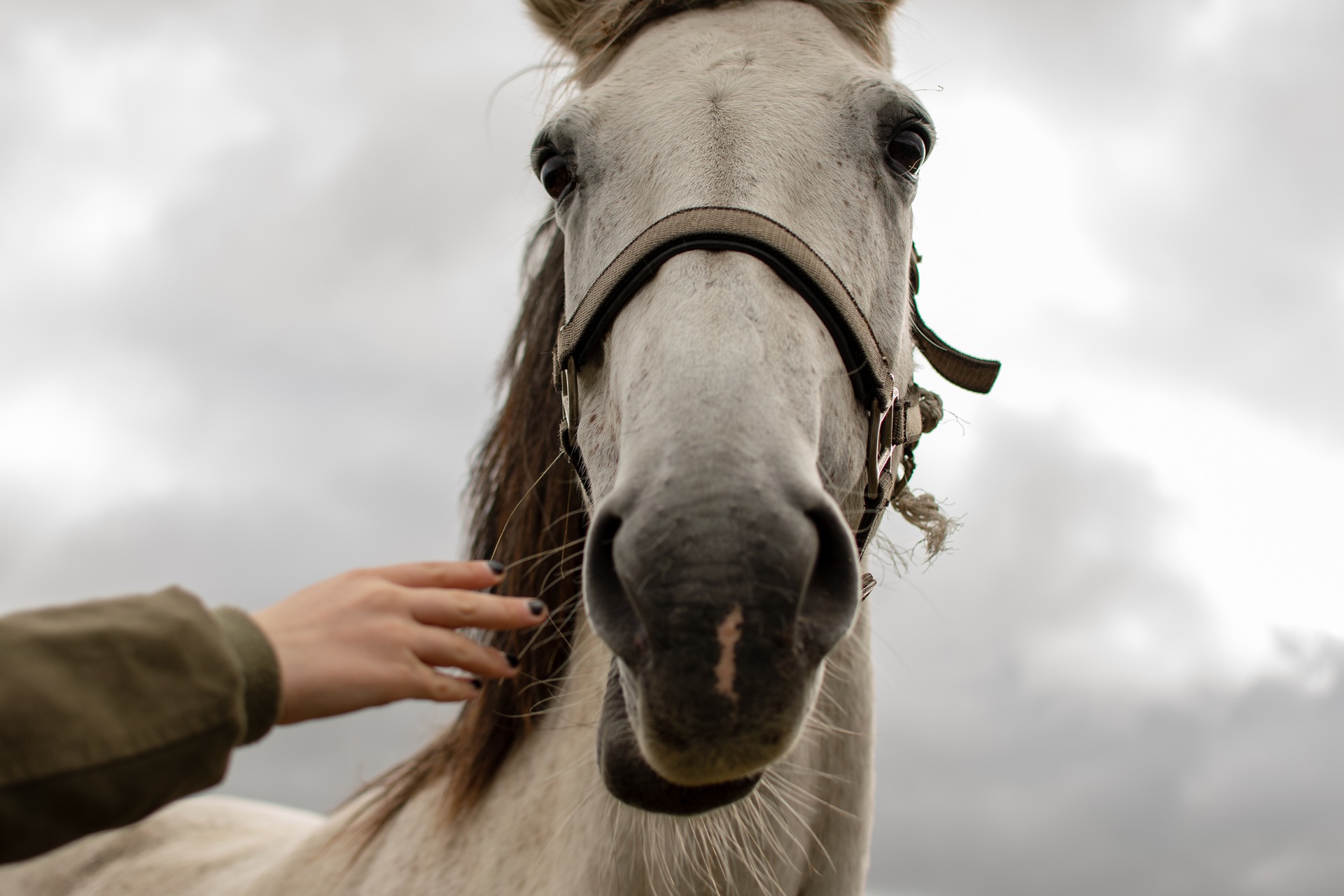 DOÑV - RADIO KREIZ BREIZH